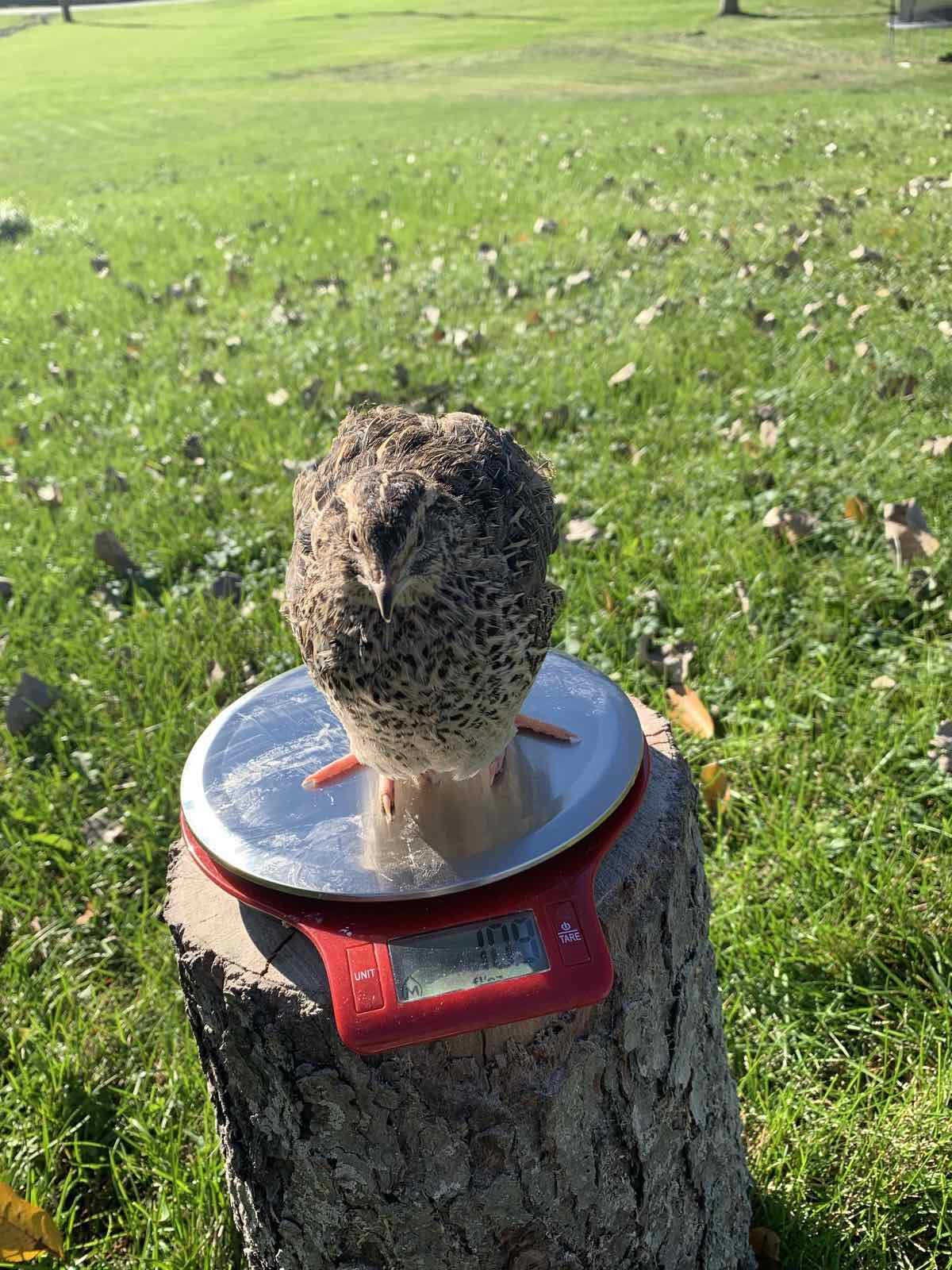 products - royalquail.com